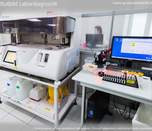 Alle einzelnen Blutwerte und Laborwerte verständlich erklärt