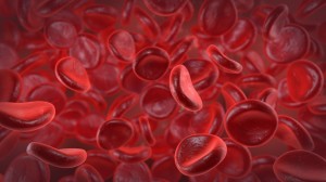 Blutbild Störungen der Erythrozyten und Retikulozyten