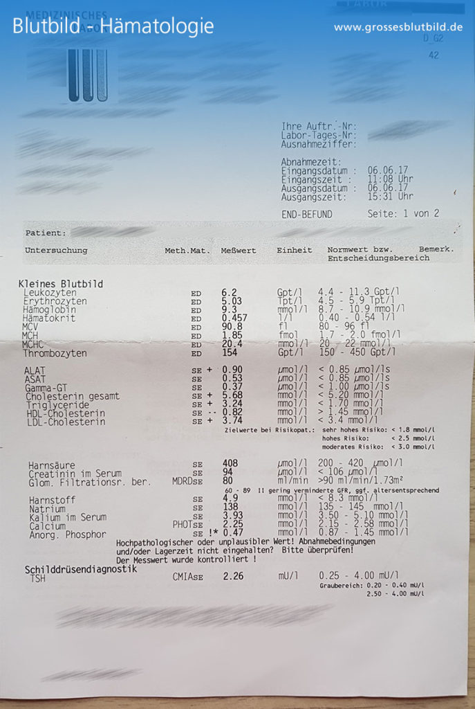 Großes Blutbild - Alle Werte des Hämogramm verständlich erklärt: