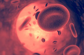 Sauerstofftransport im Blut - so funktionierts: